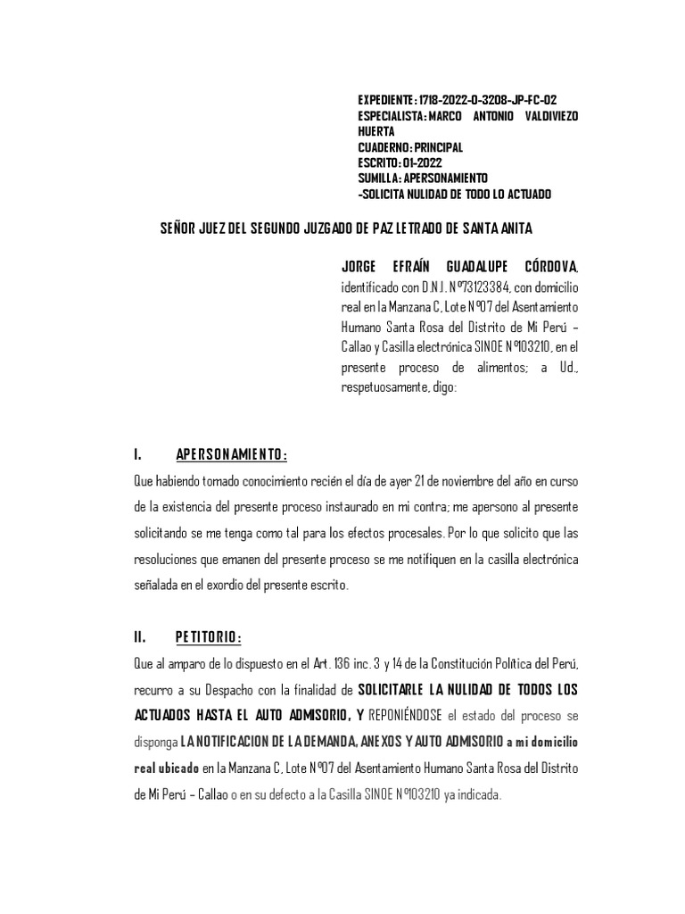 Modelo de Recurso de Nulidad de Todo Lo Actuado | PDF | Demanda ... Modelo de Recurso de Nulidad de Todo Lo Actuado | PDF | Demanda ...