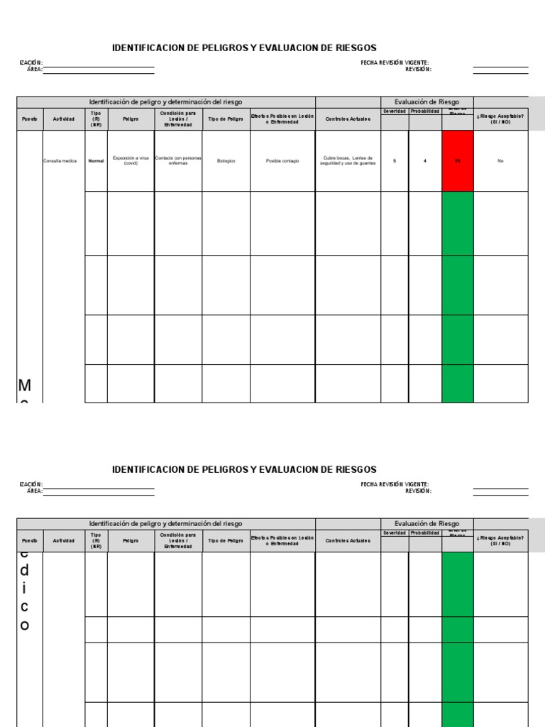 Formato de Identificacion Peligros y Evaluacion Riesgos Iso 45001 | PDF | Riesgo | Evaluación de ...