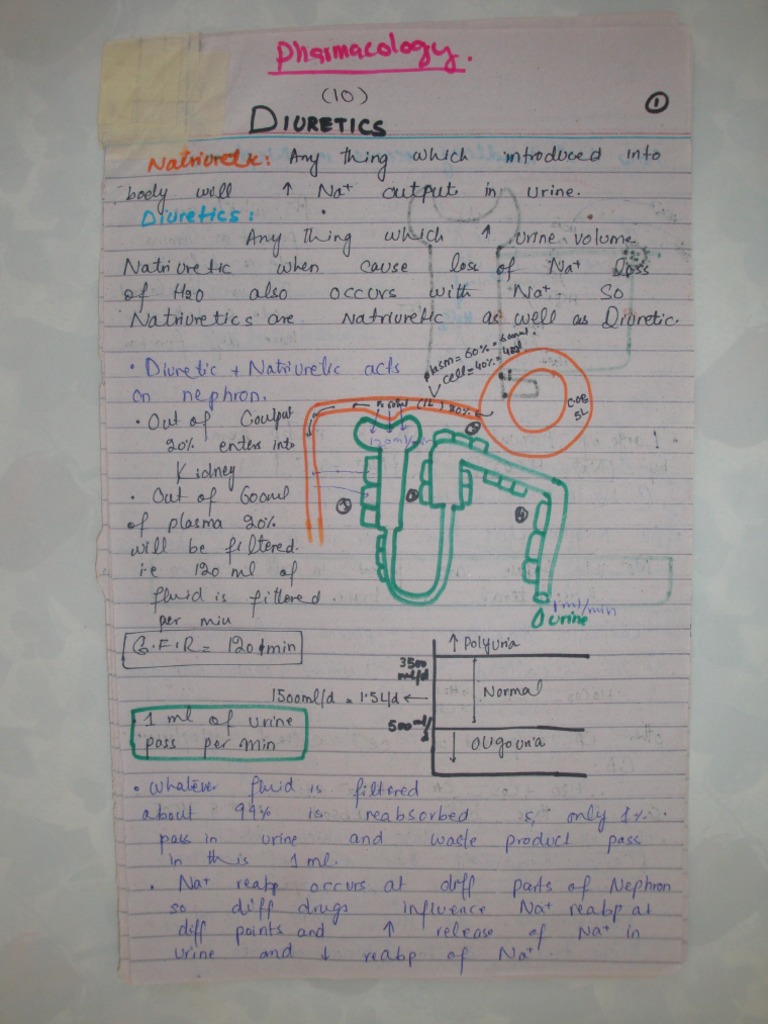 Diuretics (Basic Concepts) | PDF