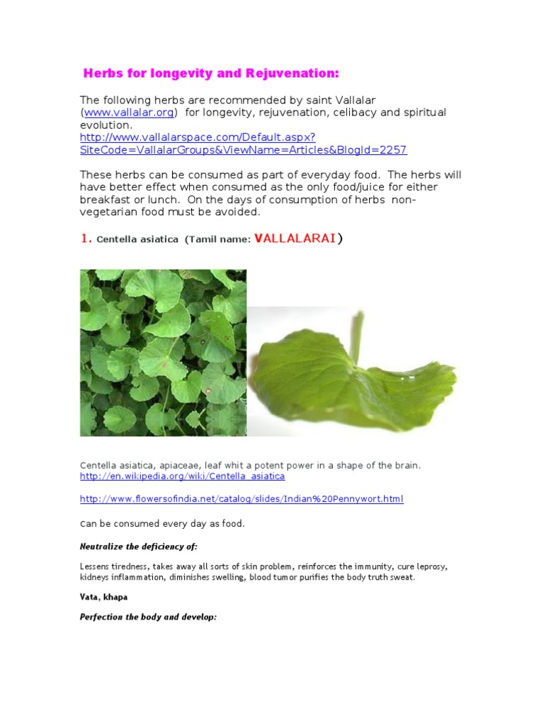 Herbs For Longevity Celibacy Rejuvenation and Transformation | PDF ...