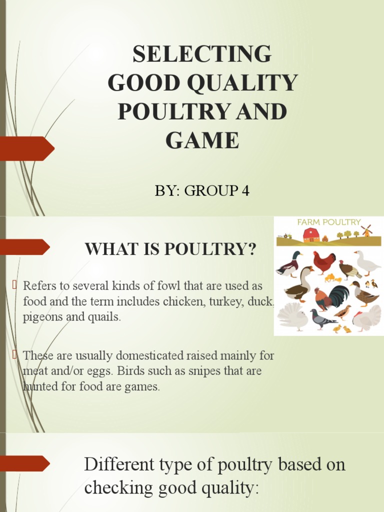 Selecting Good Quality Poultry and Game | PDF