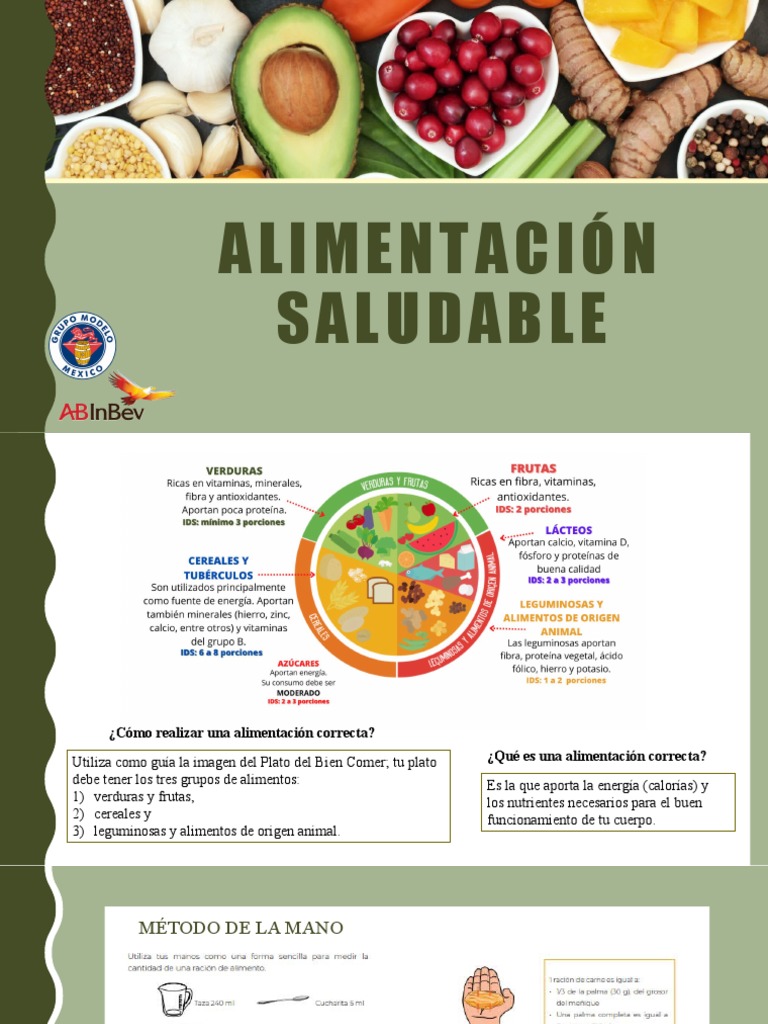 Alimentación Saludable | PDF
