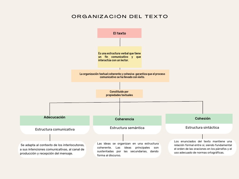 ANEXO 1, 6°- Esquema - Organización del texto | PDF