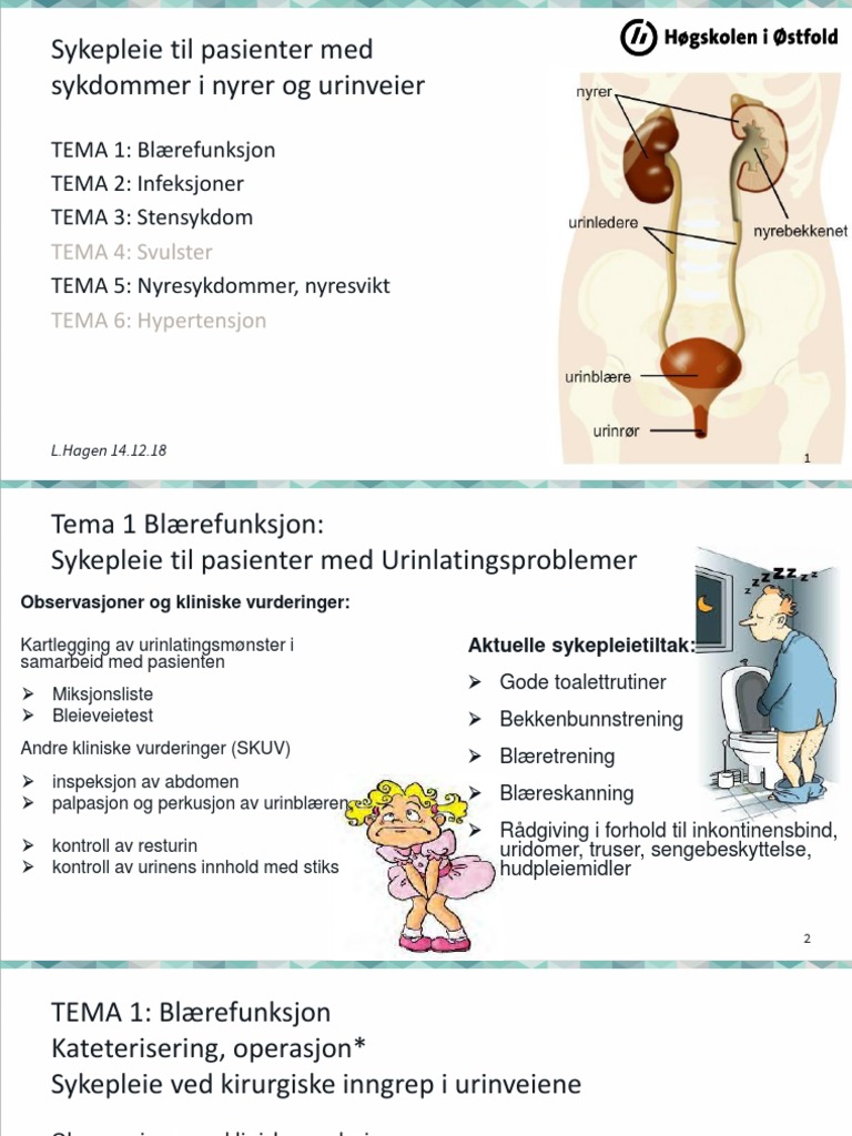 Sykepleie Til Pasienter Med Svikt I Nyrenes Funksjon 2018 | PDF