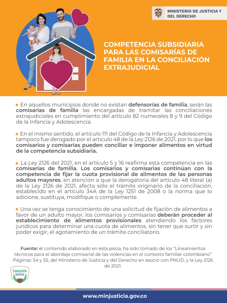 Infografia Competencia Subsidiaria | PDF