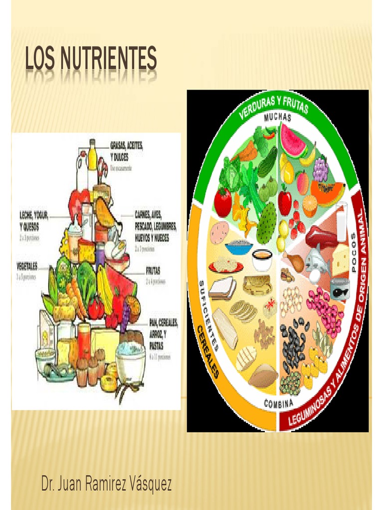 Características y Tipos de Nutrientes | PDF | Carbohidratos | Nutrientes