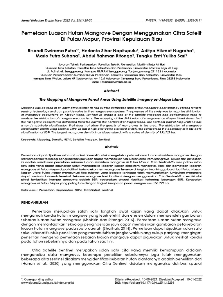Pemetaan Mangrove Pulau Mapur | PDF