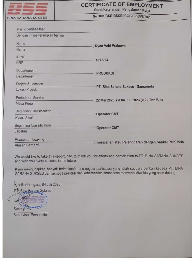 Pengalaman Bss | PDF