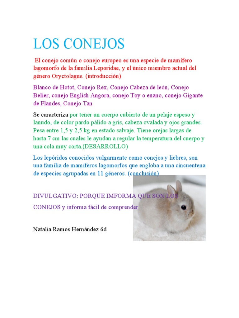 Conejos Texto | PDF