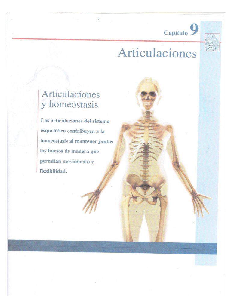 Artrologia PDF Libro Tortora | PDF