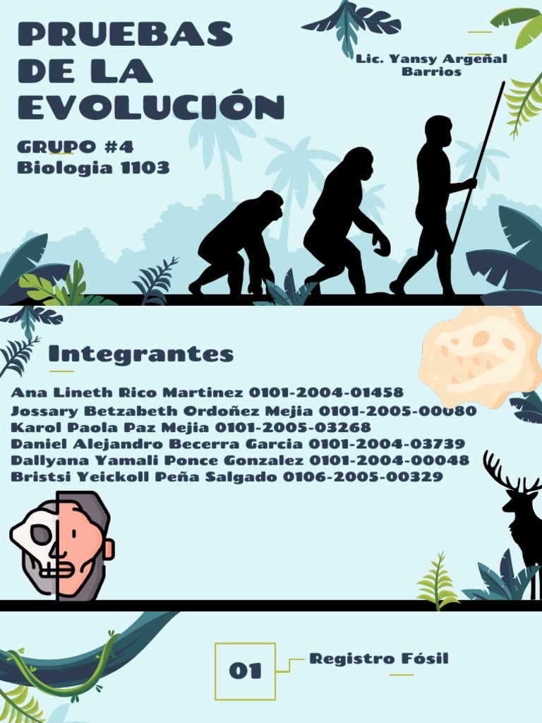 Pruebas de La Evolucion Grupo 4 | PDF | Evolución | Organismos