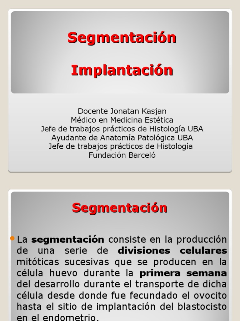 05 Segmentación | PDF | Embrión | Biología