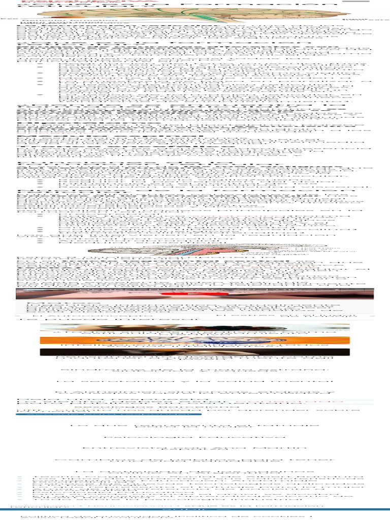 Formación Reticular Qué Es Funciones Sistema Y Núcleos Pdf