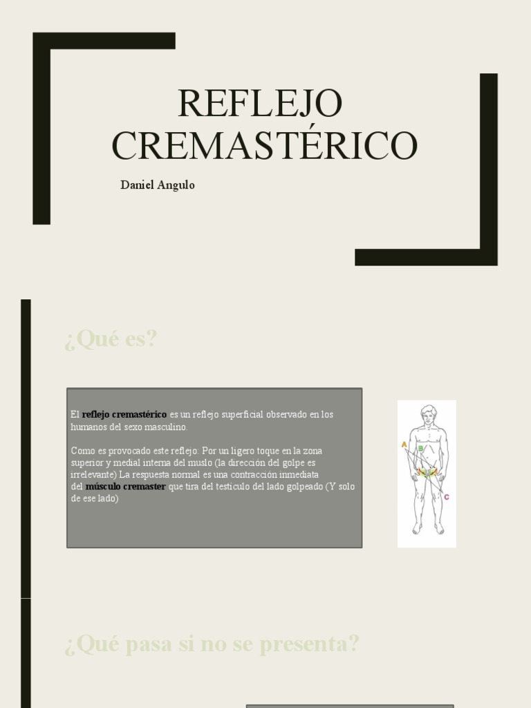 Reflejo Cremasterico | PDF