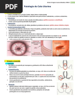 Escala de Tanner Desenvolvimento Puberal Feminino | PDF