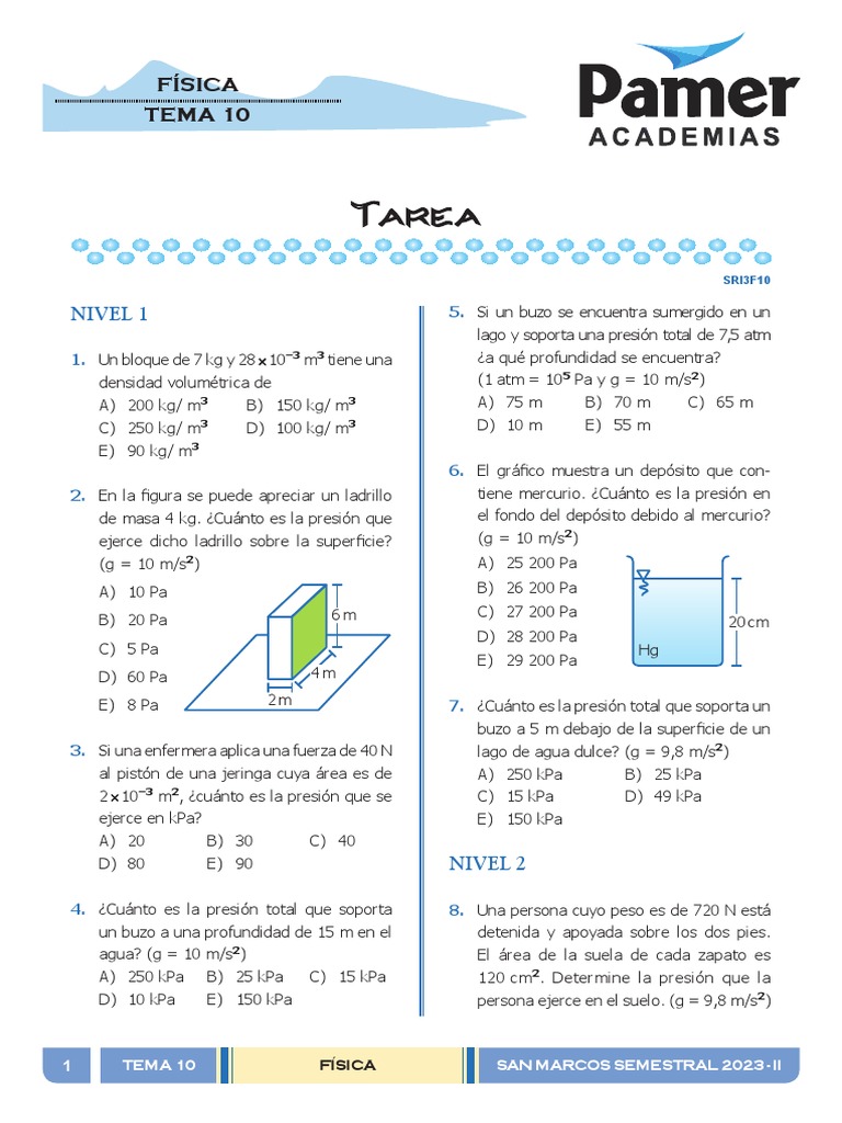 F Sem10 Hidrostática | PDF | Pascal (Unidad) | Presión