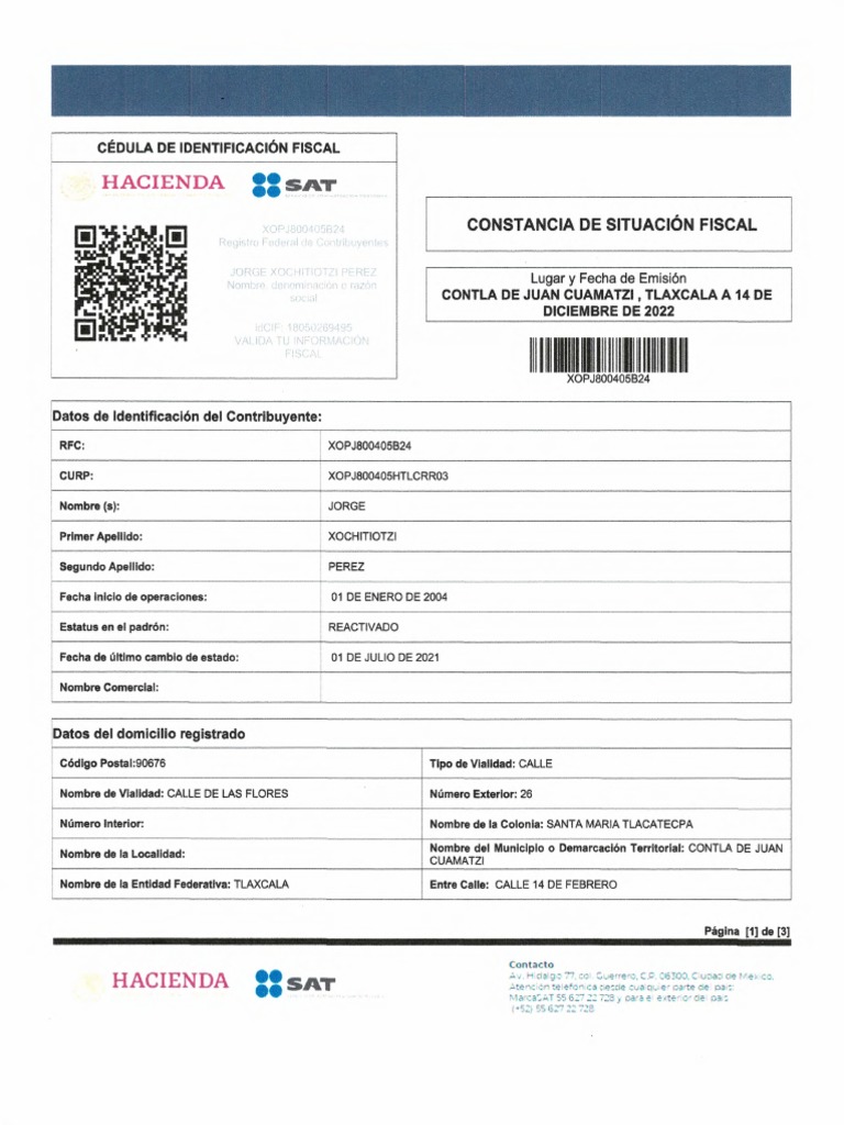 Cédula de Identificación Fiscal | PDF