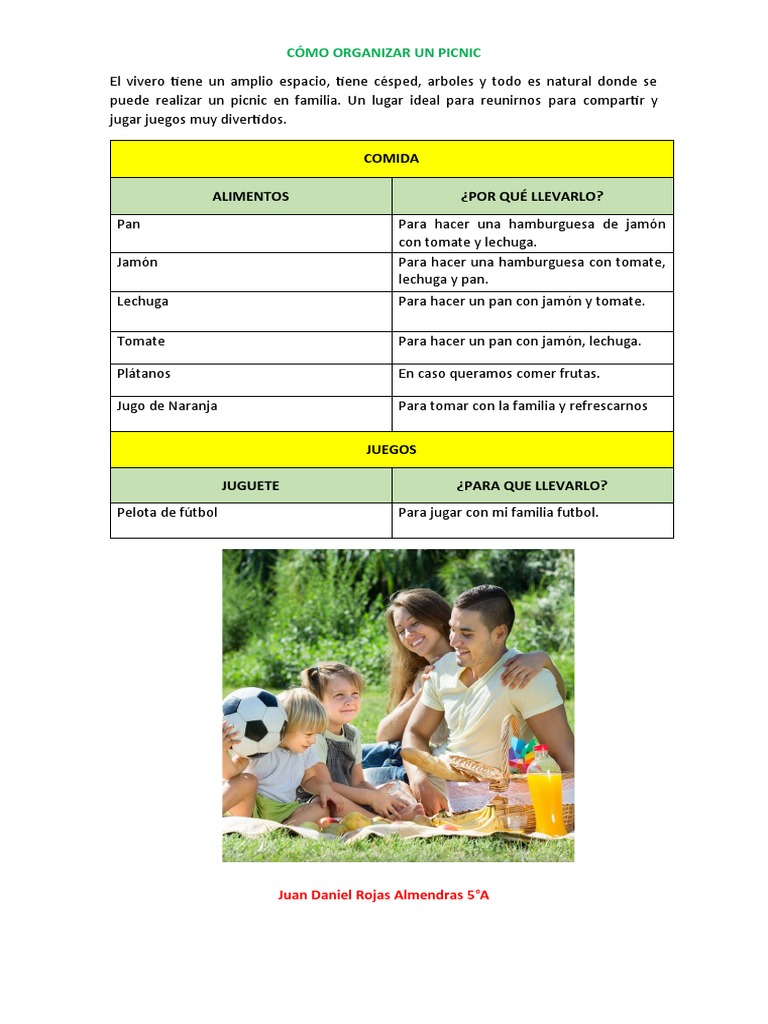 Cómo Organizar Un Picnic | PDF