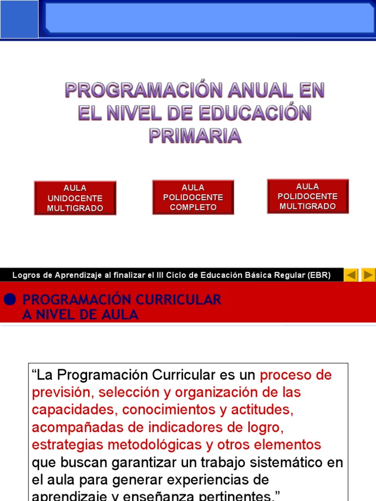 Programac Primaria | PDF | Plan de estudios | Educación primaria