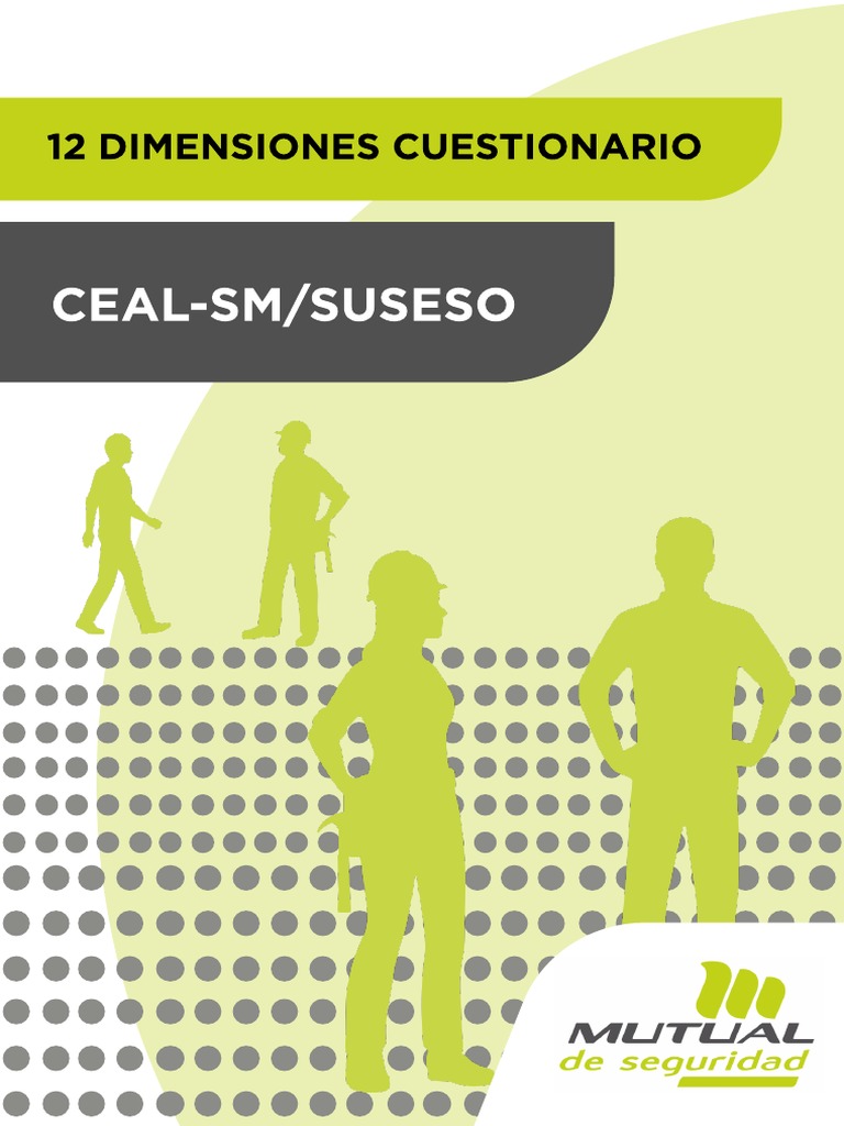 12 Dimensiones Ceal SM Suseso | PDF