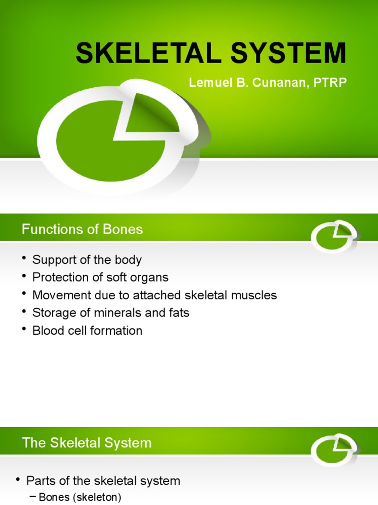 Lesson 2 Skeletal System | PDF | Bone | Osteoblast