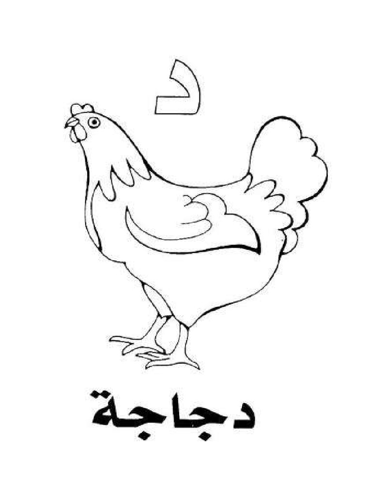 Gambar Mewarnai Ayam Bahasa Arab Huruf Dan Kata Arab | PDF