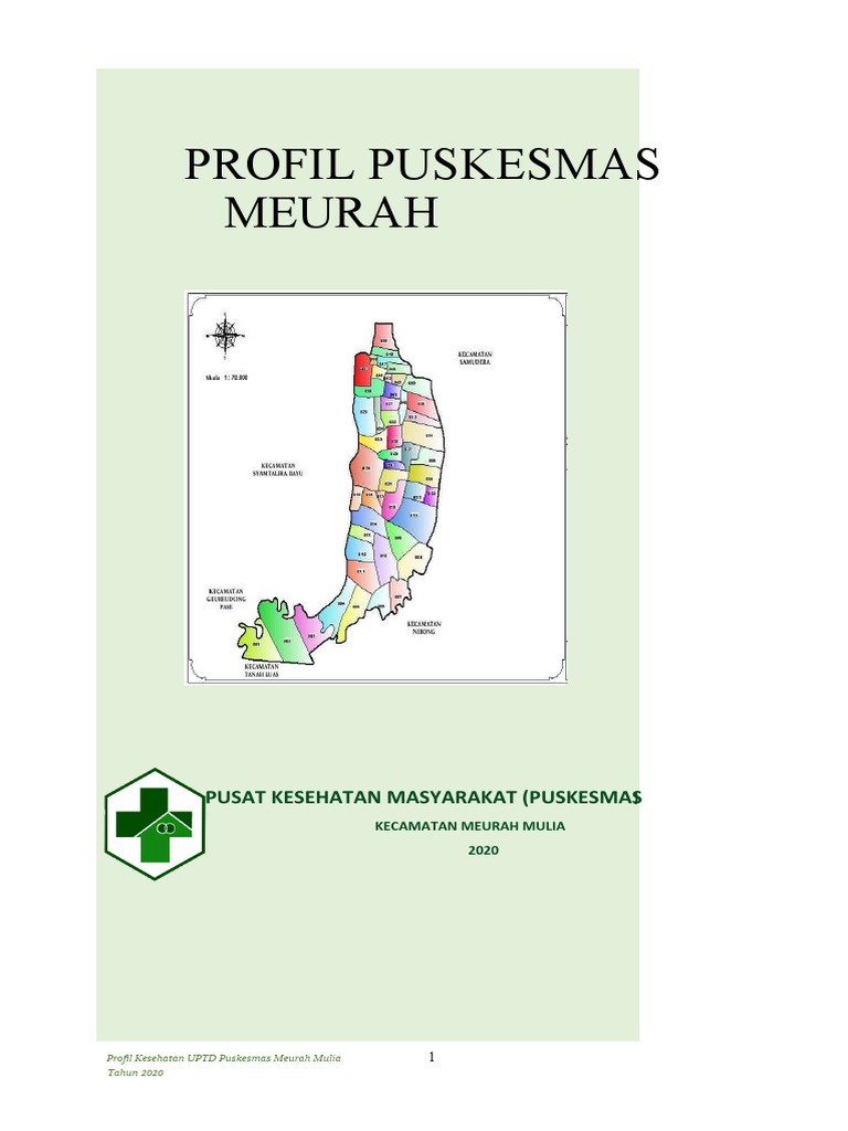 Profil Kesehatan Puskesmas Meurah Mulia 2020 | PDF