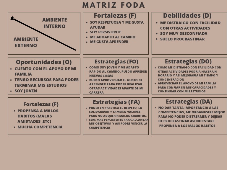 Matriz Foda | PDF | Análisis FODA