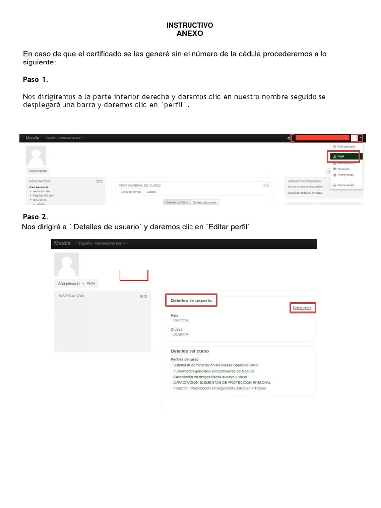 INSTRUCTIVO DE ACCESO-ANEXO-editado | PDF | Crecimiento personal y profesional
