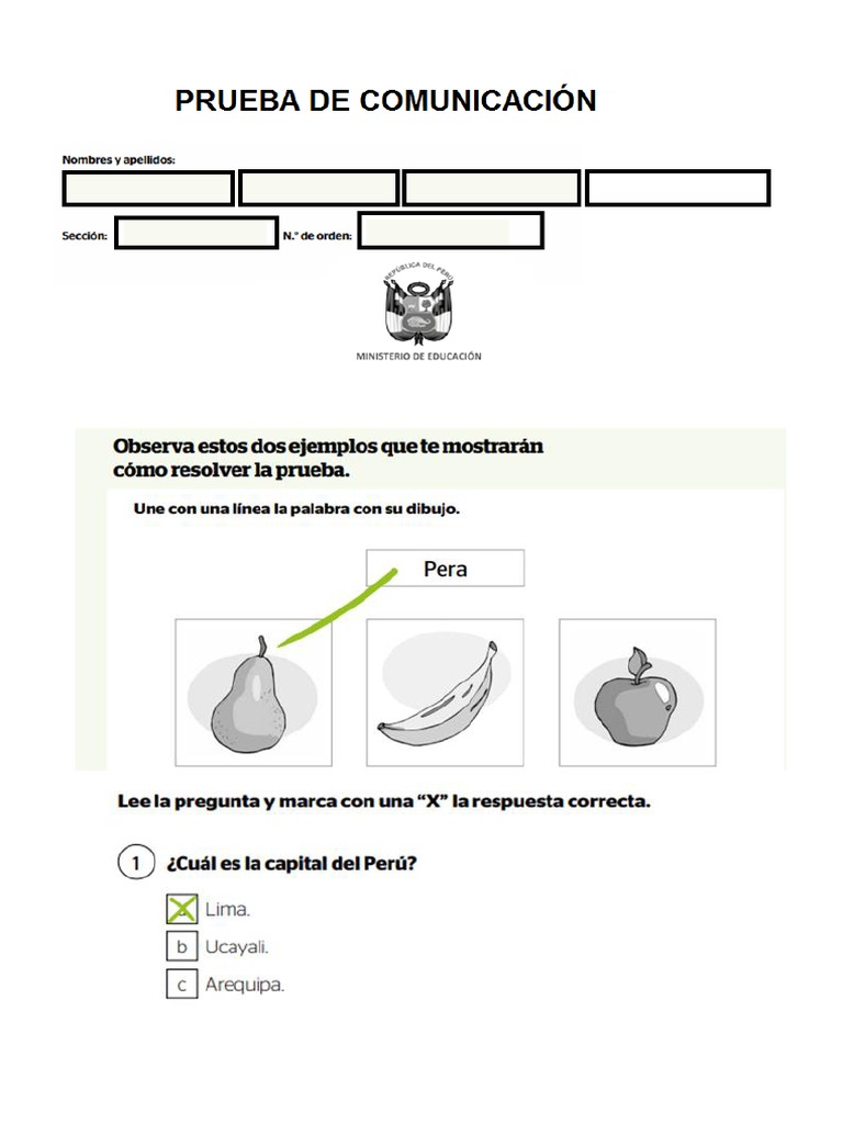 prueba de salida COMUNICACIÓN | PDF