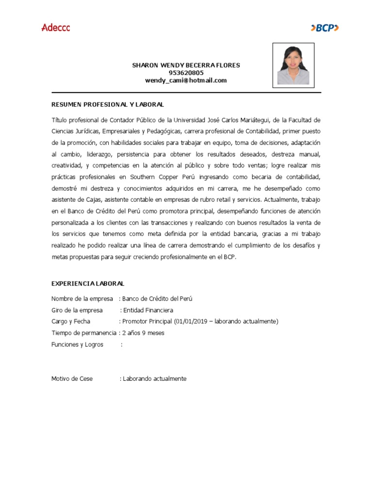Modelo de CV - A | PDF | Contador | Contabilidad