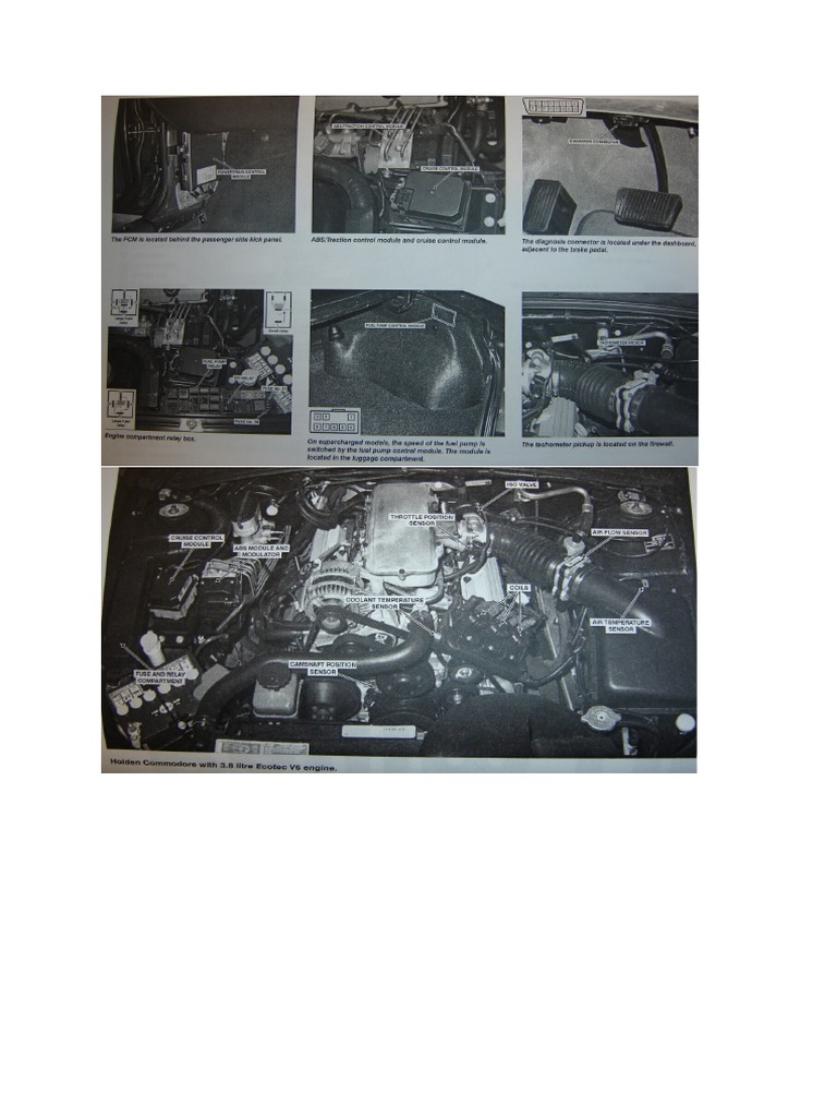 Holden Commodore VT 3.8 EFI Wiring | PDF