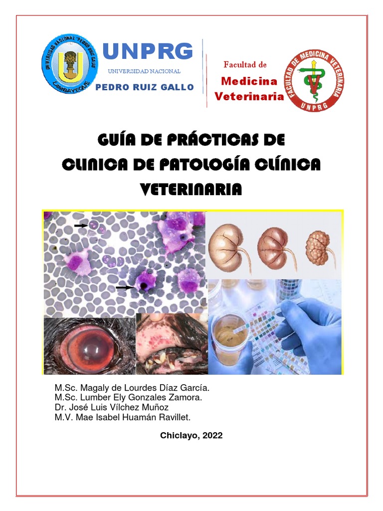 1 Guia de Practicas Clinica de Patología Clínica | PDF | Patología ...