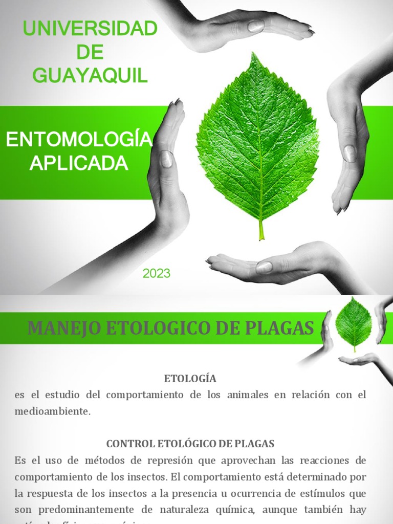 Manejo Etológico de Plagas en Agricultura | PDF | Feromona | Plaga ...