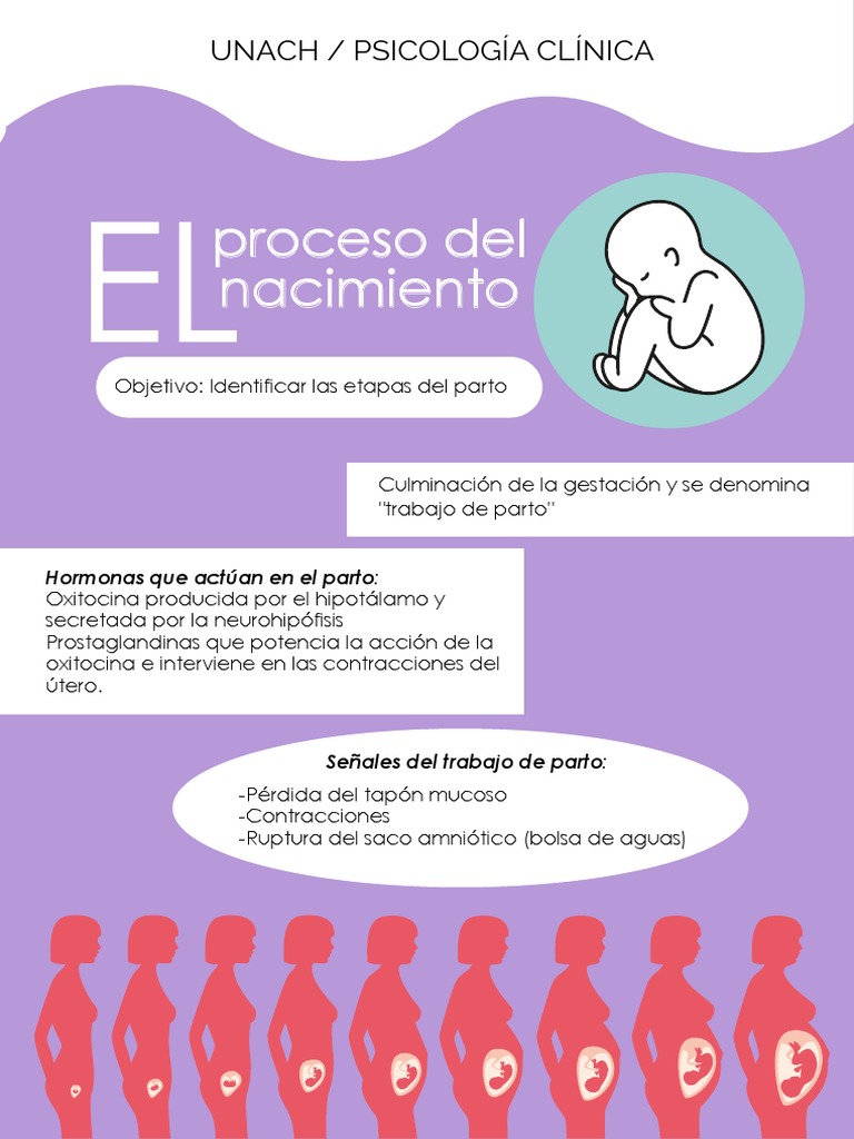Infografía Etapas Del Parto | PDF | Parto | El embarazo