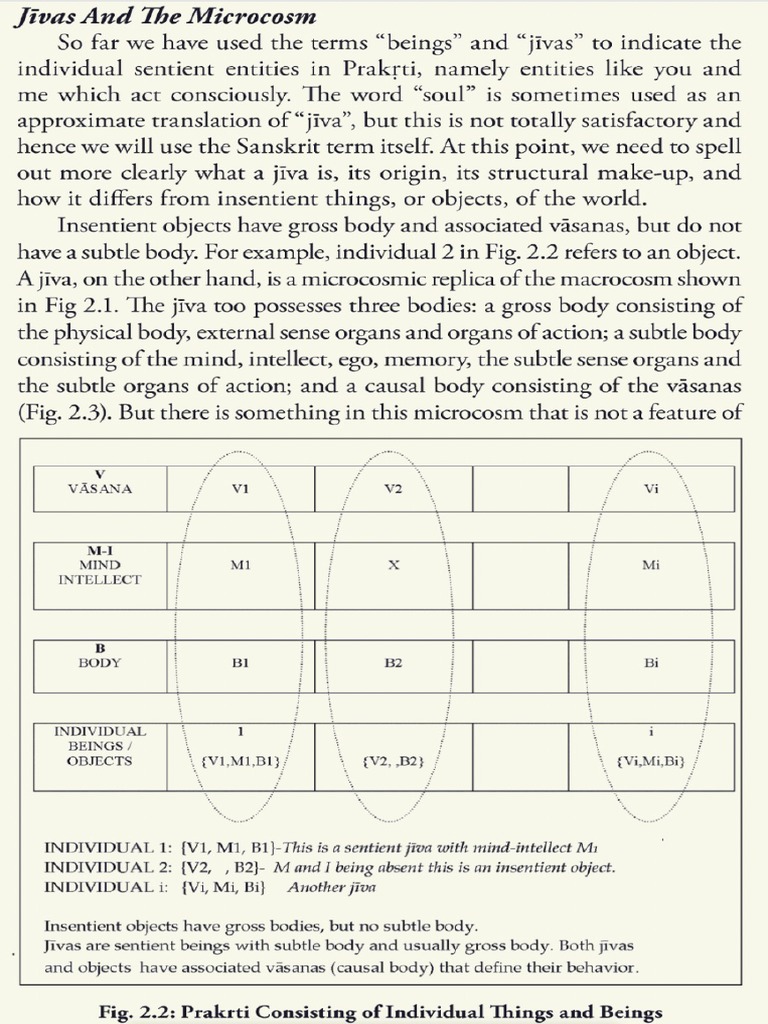 Jivas and The Macrocosm | PDF