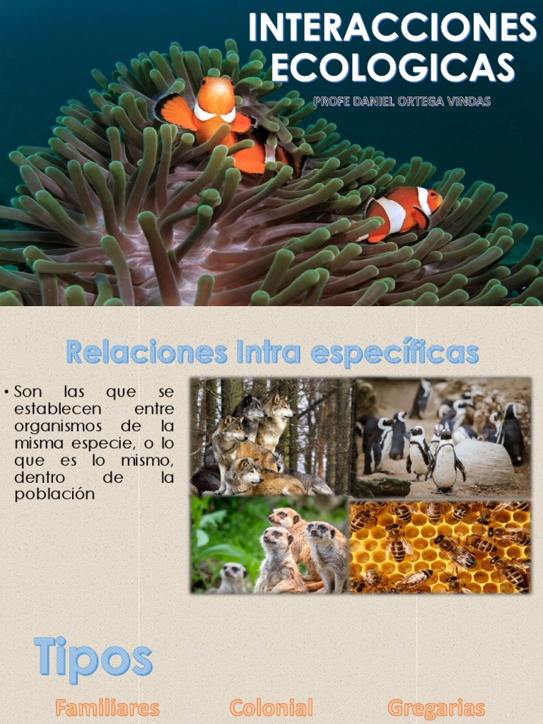 Interacciones Ecologicas | PDF | Depredación | Parasitismo