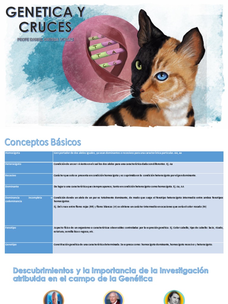 10 7 Gen Tica y Cruces | PDF | Dominancia (Genética) | Cigosidad