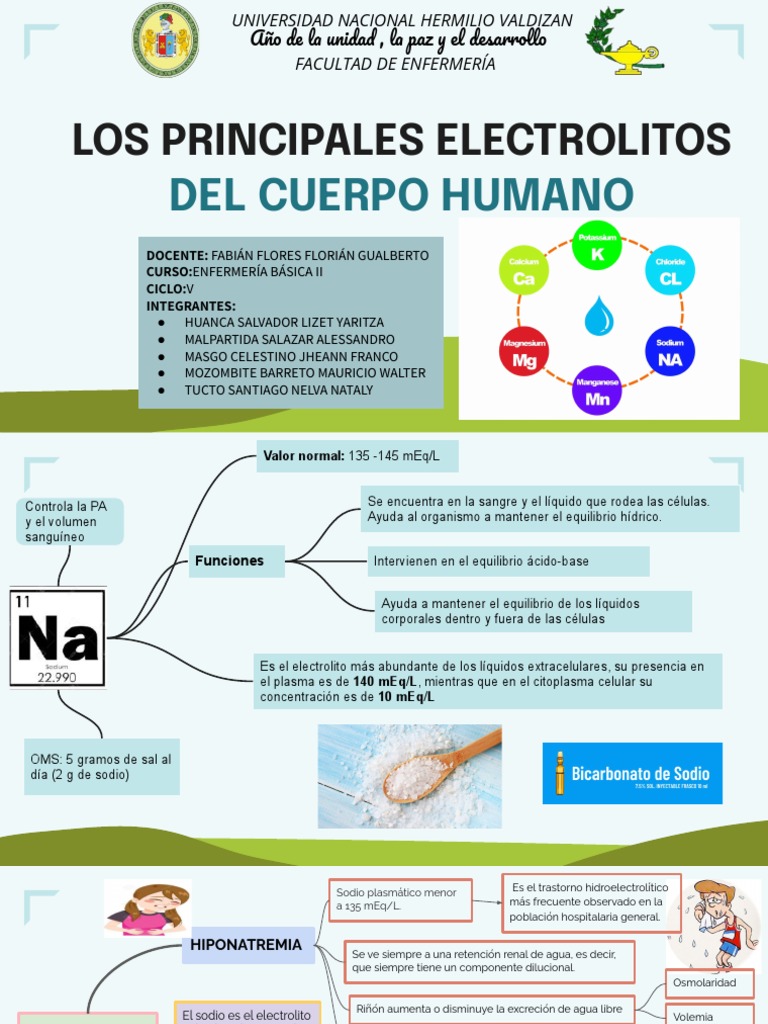 Los Principales Electrolitos en El Cuerpo Humano | PDF | Potasio | Química