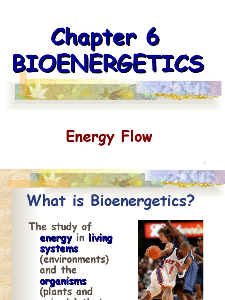 Chapter 6 BIOENERGETICS | PDF | Metabolic Pathway | Adenosine Triphosphate
