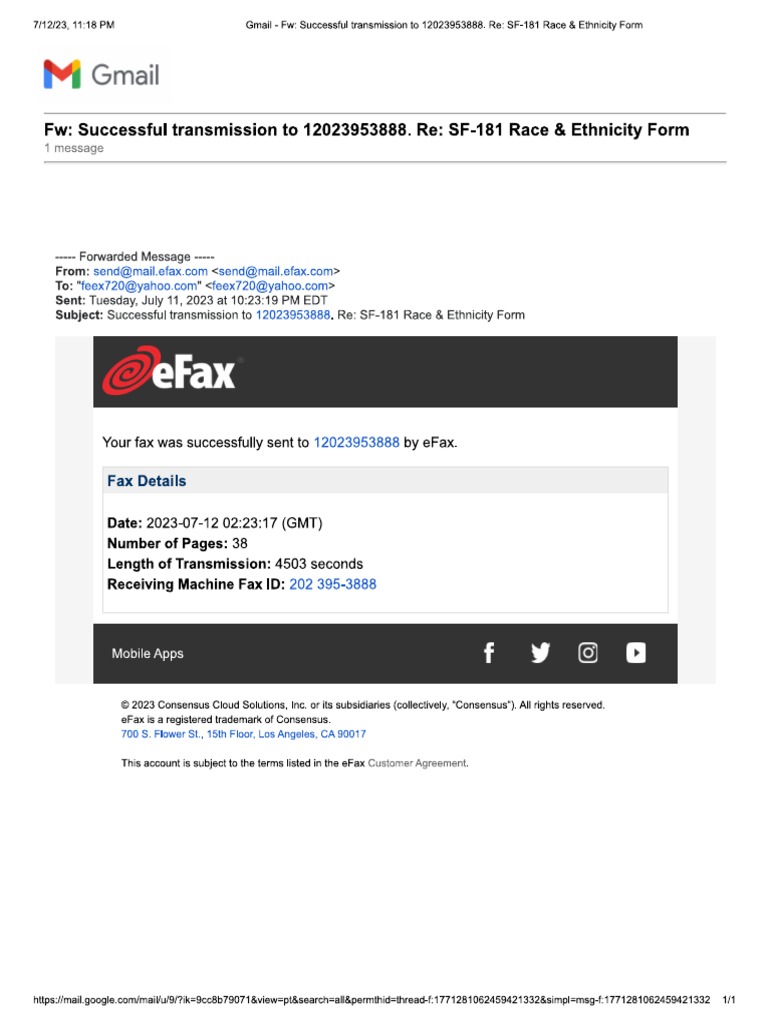 LJF - Ethnicity and Race Identification - Sf181 Form | PDF