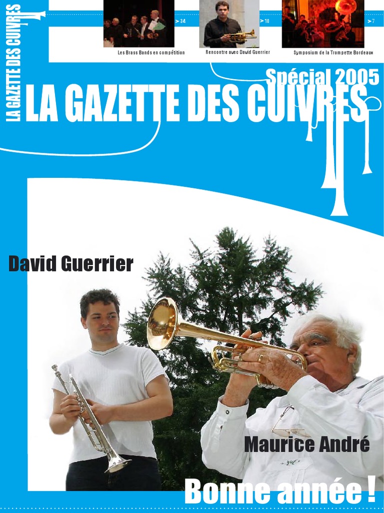 Interview David | PDF | Cuivres (musique) | Festival