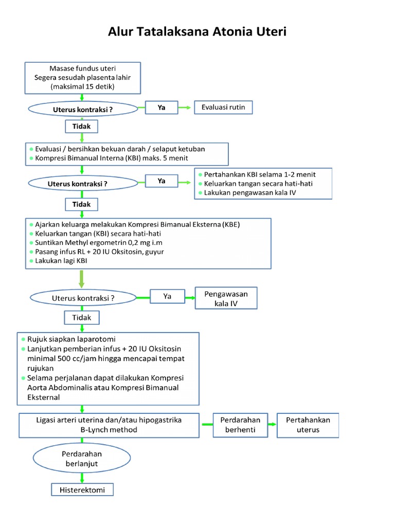 Diagram Alir Atonia Uteri | PDF