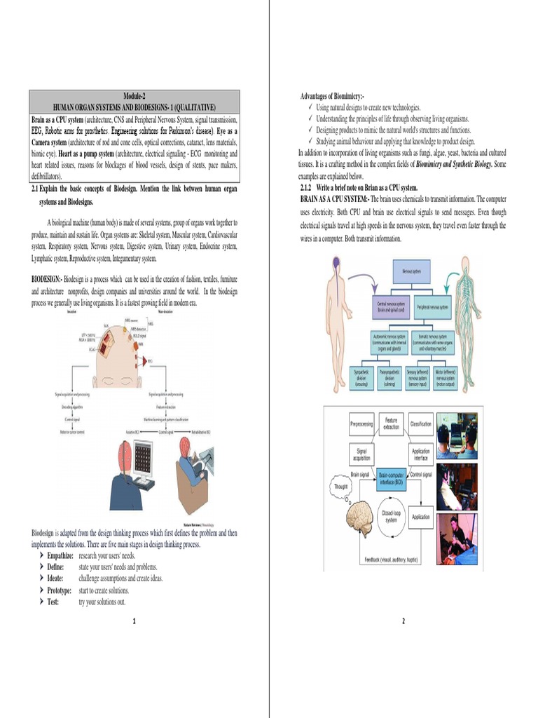 Human Organ Systems and Biodesign Insights | PDF | Electrocardiography ...