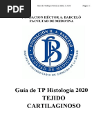 Anatomía de La Cavidad Bucal y La Boca Ilustraciones Con Etiquetas ...
