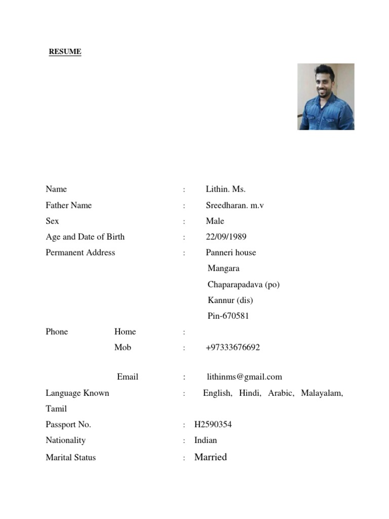 Biodata | PDF | Microsoft Office | Microsoft