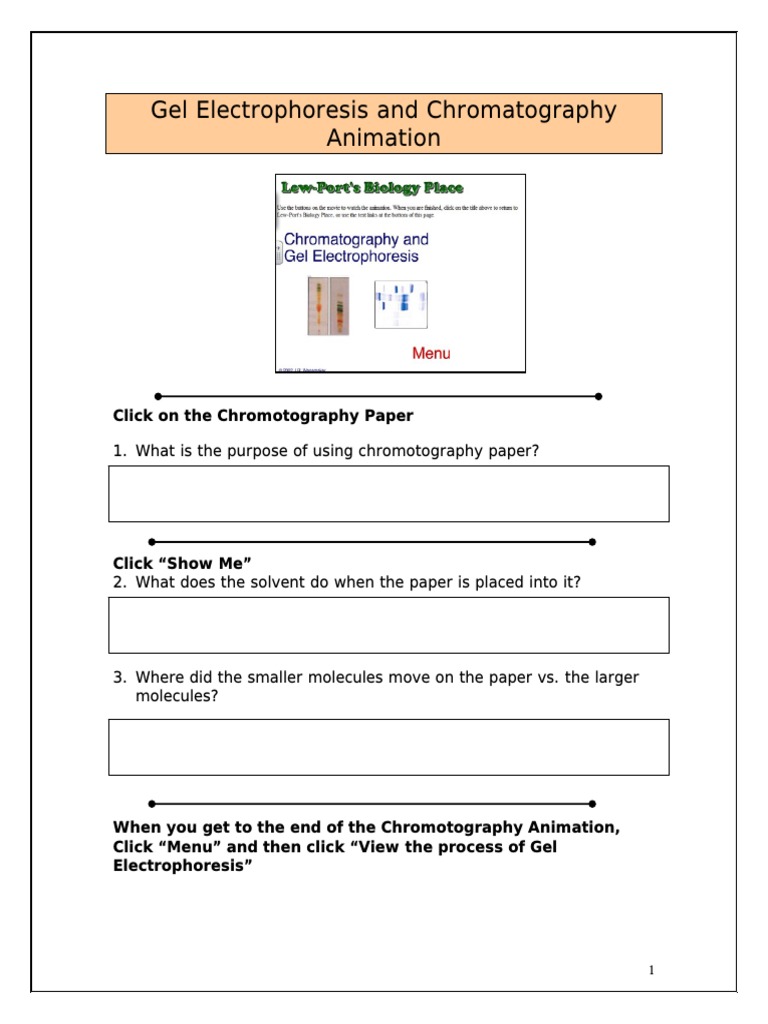 Gel Electrophoresis and Chromatography Animation: Click On The ...