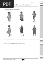 Holes - Comprehension Questions | PDF