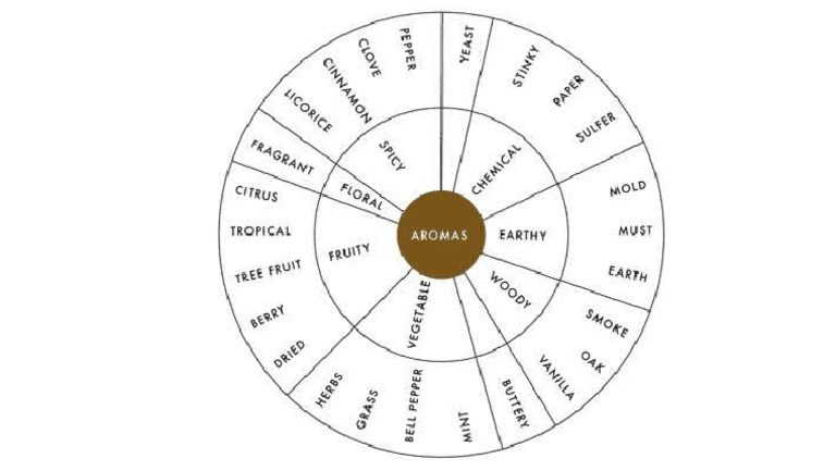 Wine Tasting Wheel | PDF