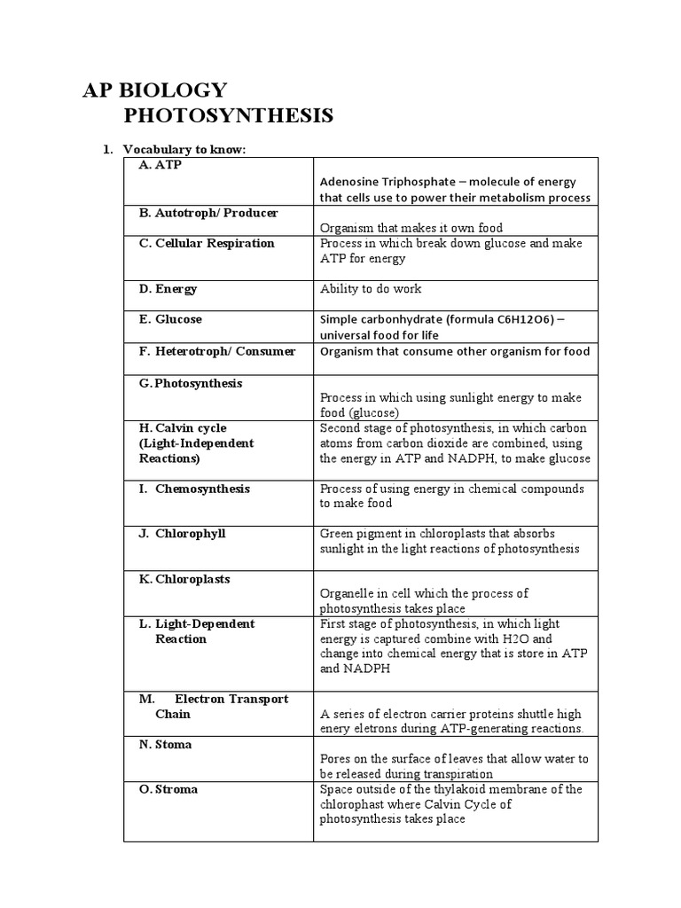 Ap Biology Photosynthesis | PDF | Photosynthesis | Chloroplast